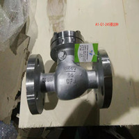 DN50-DN500 Flap Check Valve Steel Brass Cast Iron Swing Check Valve